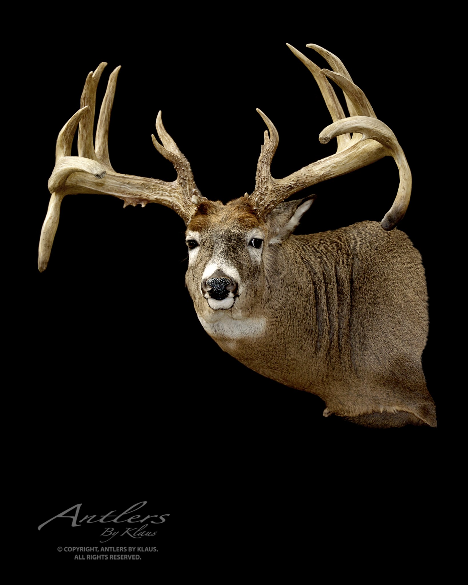 Giant Drop Tine Deer That Made Whitetail Hunting History | Outdoor Life