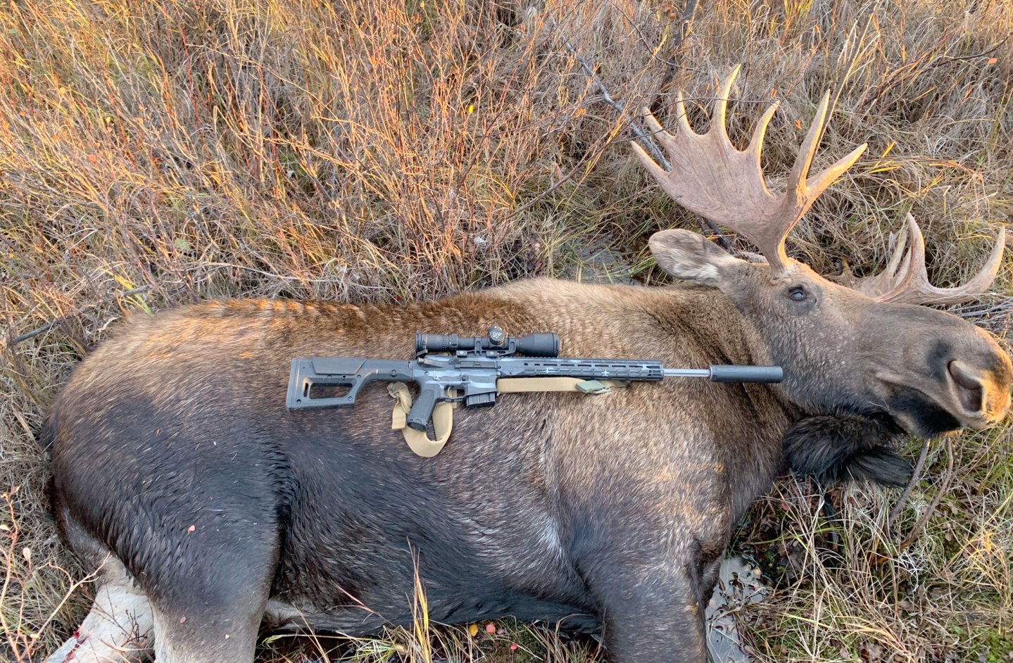 Video: Moose Hunting With the 22 ARC | Outdoor Life