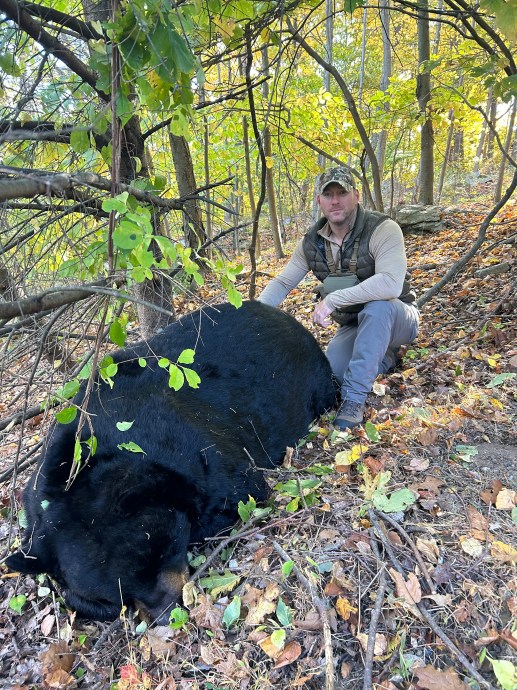 Bowhunter Shoots Massive 770-Pound Record Black Bear in New Jersey ...