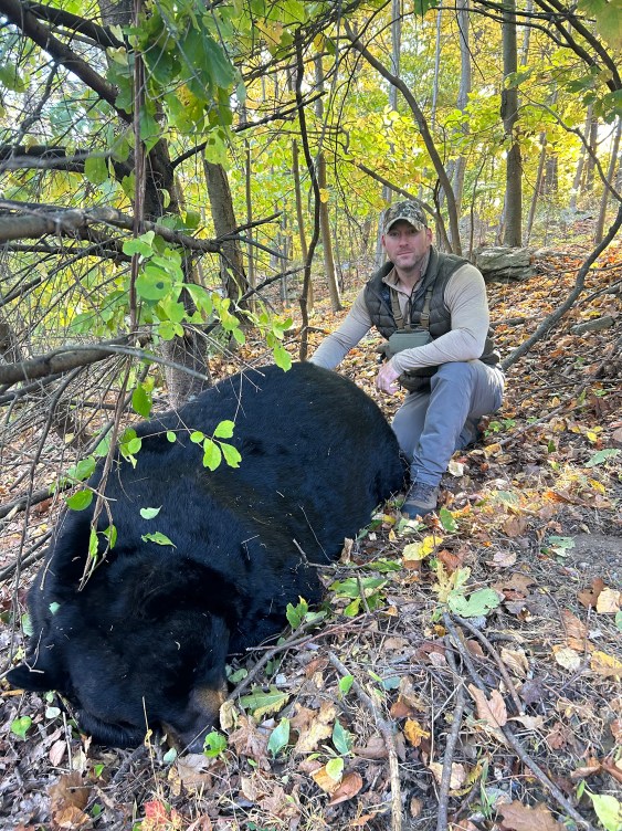 Bowhunter Shoots Massive 770-Pound Record Black Bear in New Jersey ...