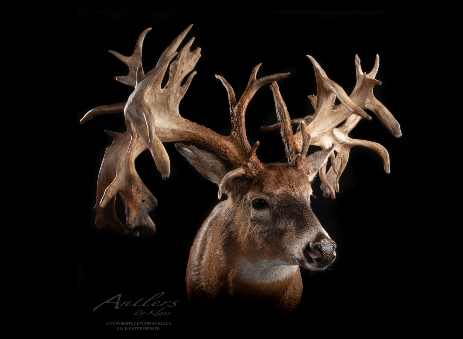 Giant Drop Tine Deer That Made Whitetail Hunting History | Outdoor Life