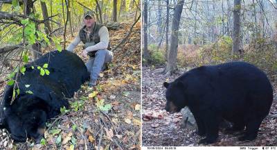 Bowhunter Shoots Massive 770-Pound Record Black Bear in New Jersey ...