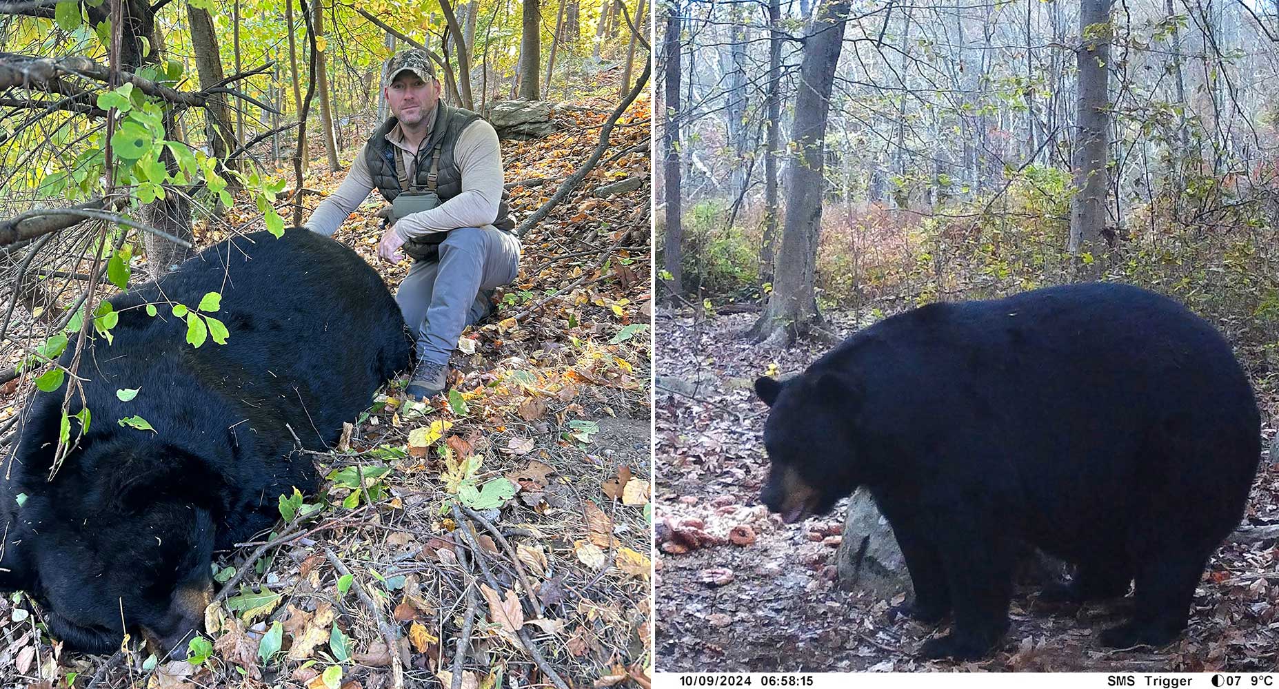 Bowhunter Shoots Massive 770-Pound Record Black Bear in New Jersey ...