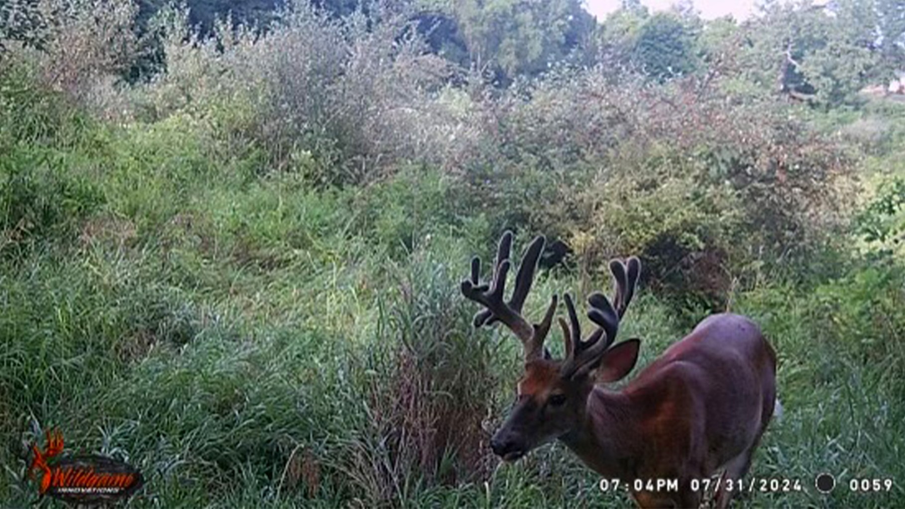 Bowhunter Recovers 16-Point Buck Using a Clue from Past Trail Cam Photo ...