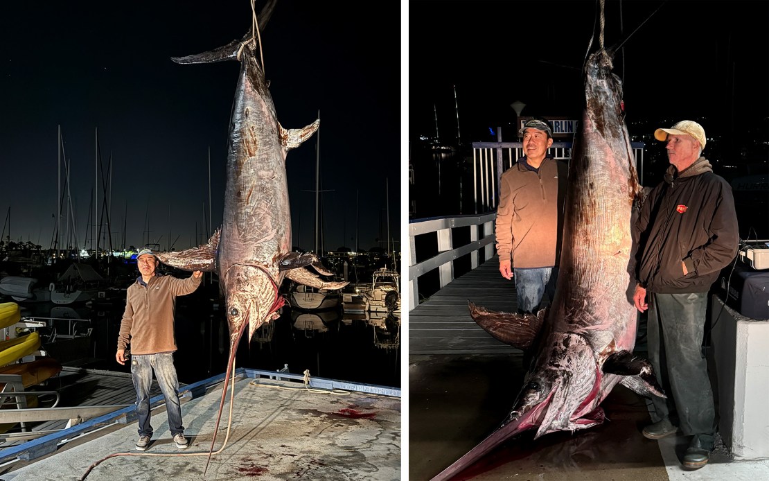 California’s New State-Record Swordfish Was So Huge It Wouldn’t Fit in ...