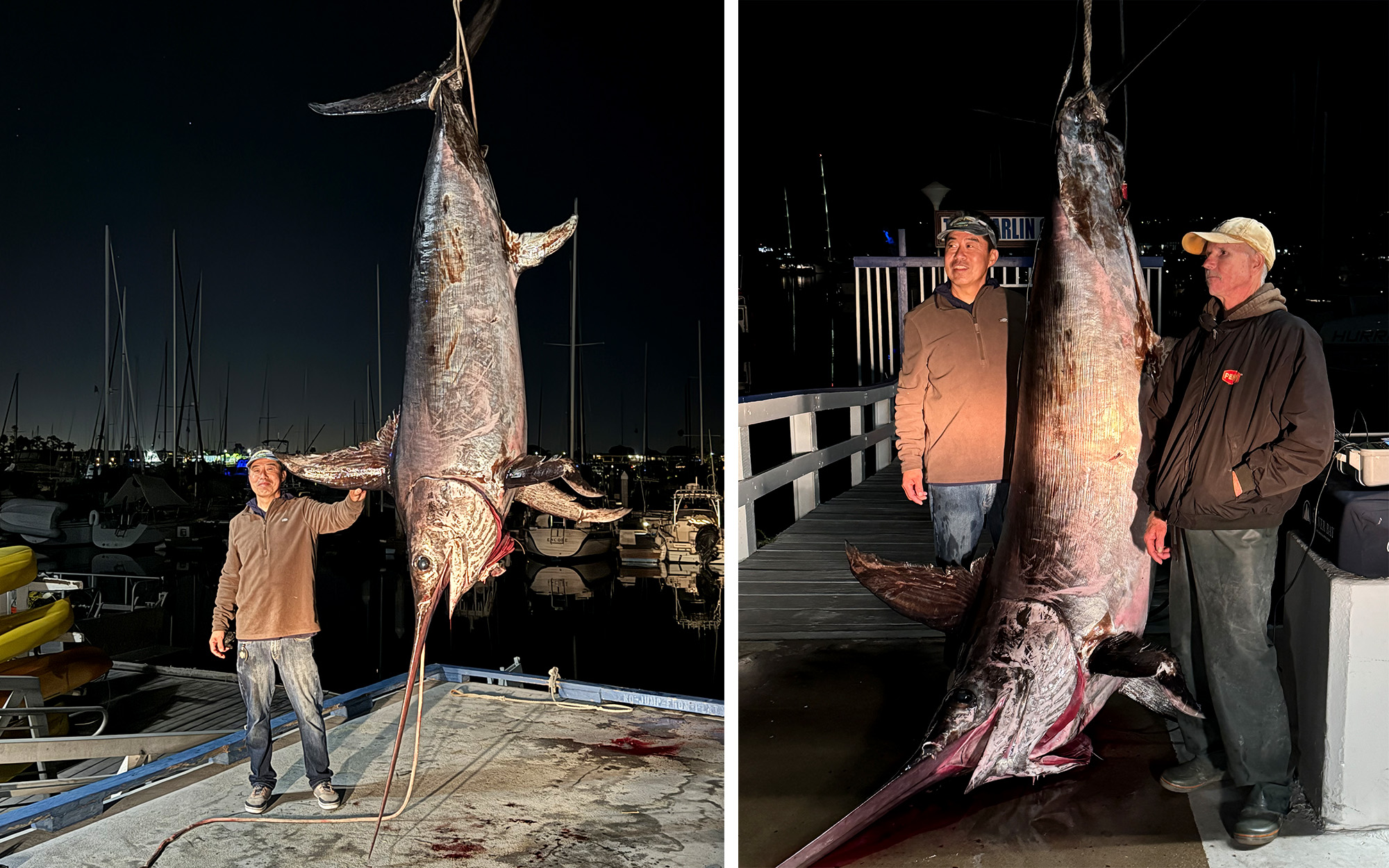 California’s New State-Record Swordfish Was So Huge It Wouldn’t Fit in ...