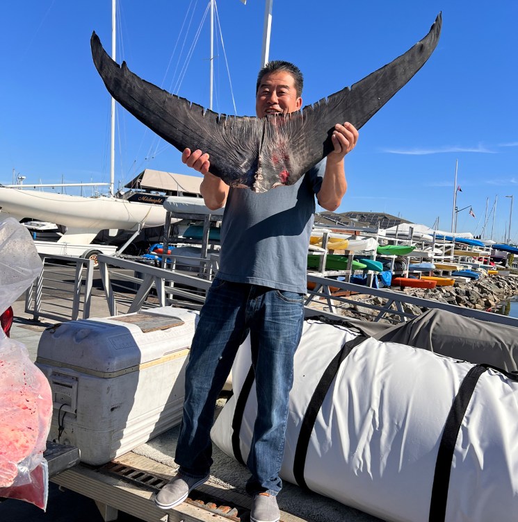 California’s New State-Record Swordfish Was So Huge It Wouldn’t Fit in ...