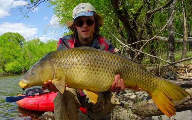 Quick Strike Podcast: How to Catch Massive Tidal Water Carp in Fall