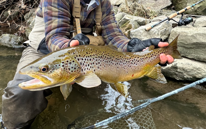 Podcast: The “Fall Feed Bag” Is Mostly a Trout Fishing Myth | Outdoor Life