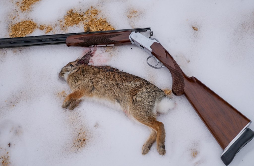 How to Skin a Rabbit | Outdoor Life