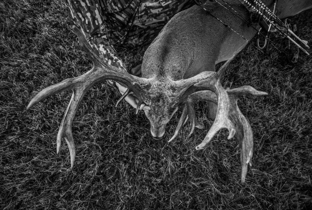 'I Know He Was with Me.' Virginia Hunter Tags 20-Point Buck with His ...