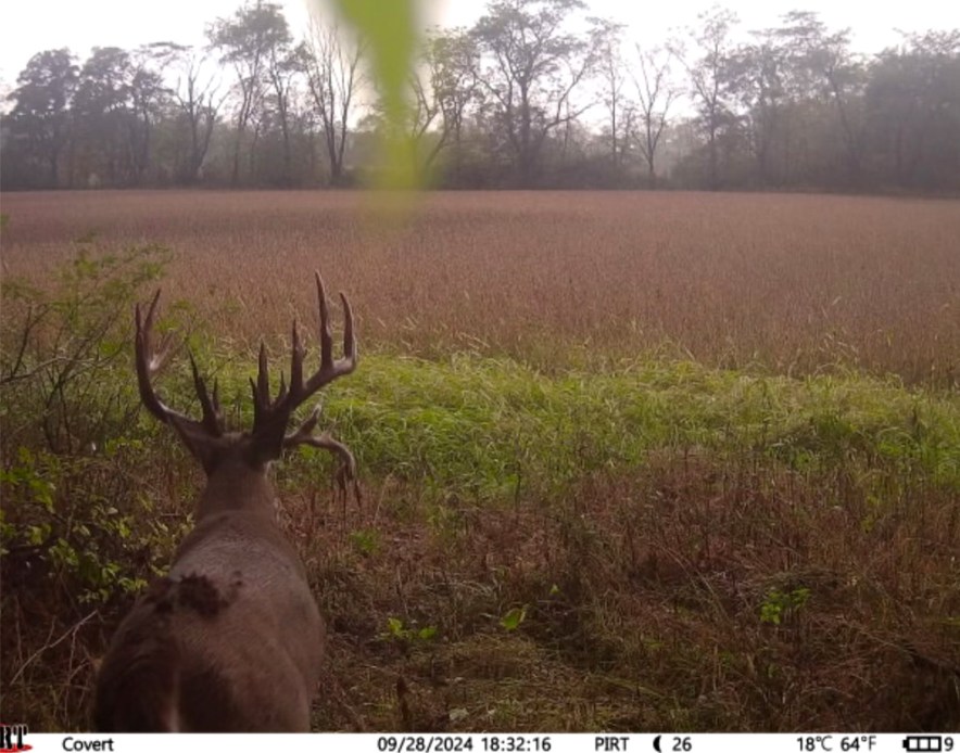 Ohio Crossbow Hunter Finally Tags 200-Class Target Buck After 8 ...