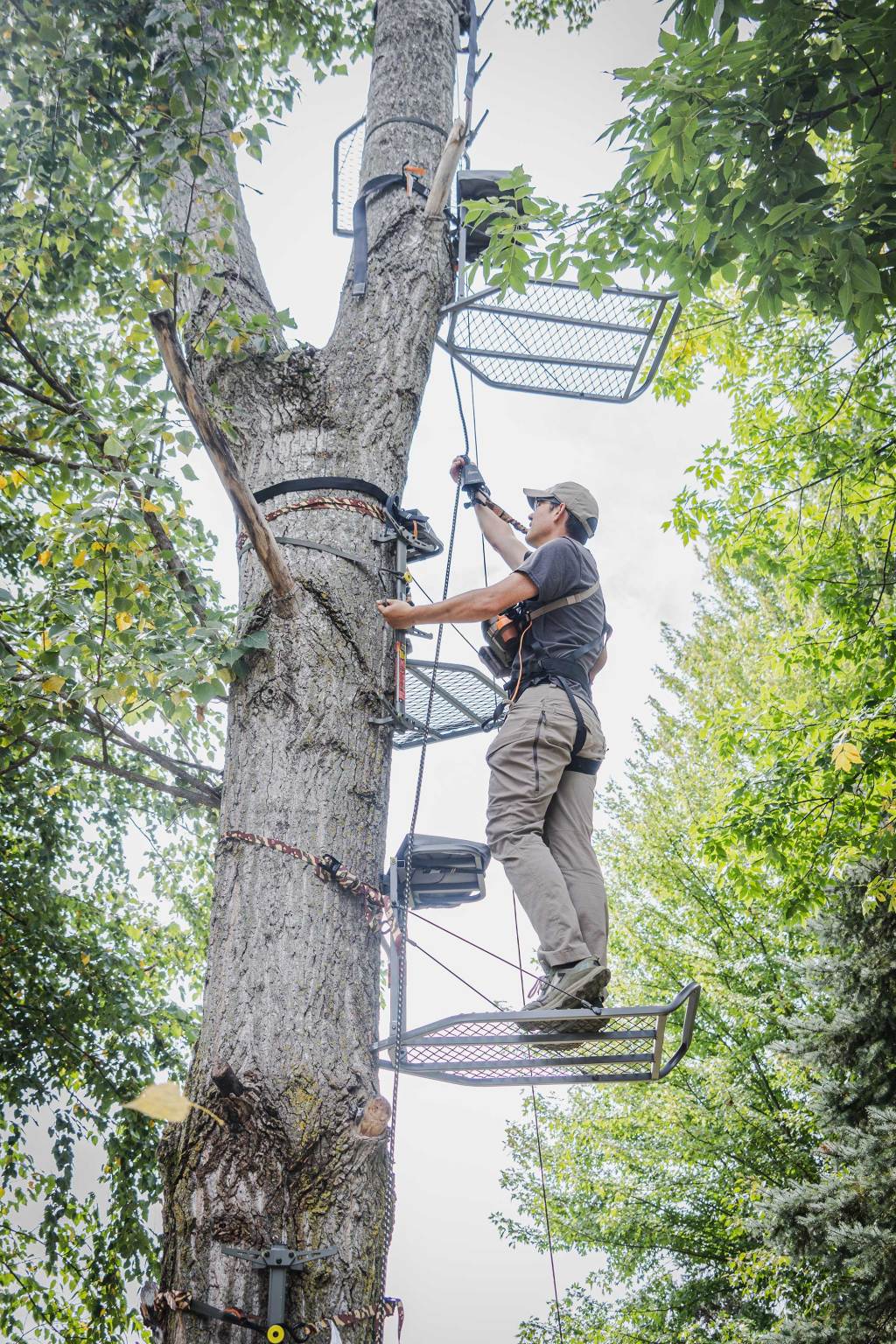 Video: Testing the Best Treestand Height for Bowhunting | Outdoor Life