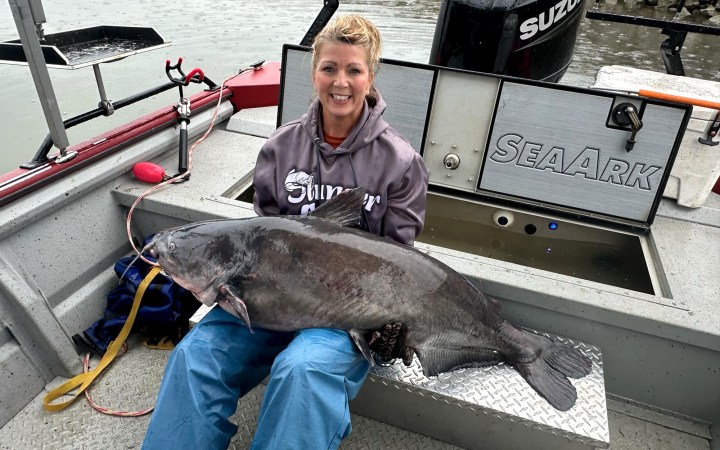2nd Grader Catches Catfish That's 'Bigger Than Anything My Mom or Dad ...