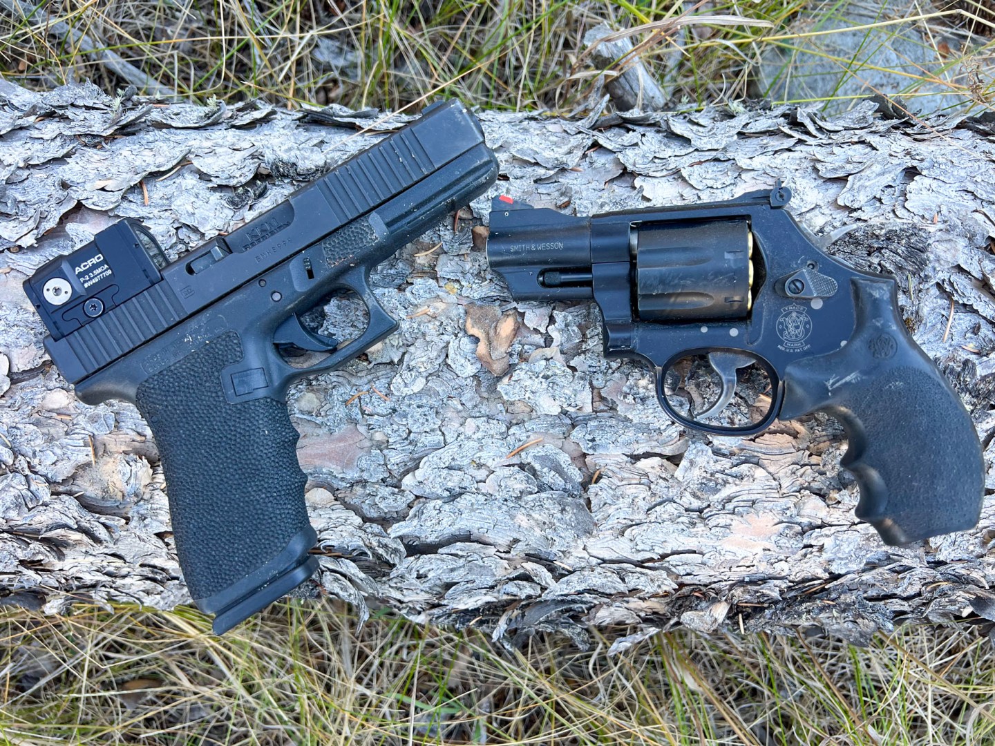 Revolver Versus Semi-Auto: Which is Best for Bear Defense? | Outdoor Life