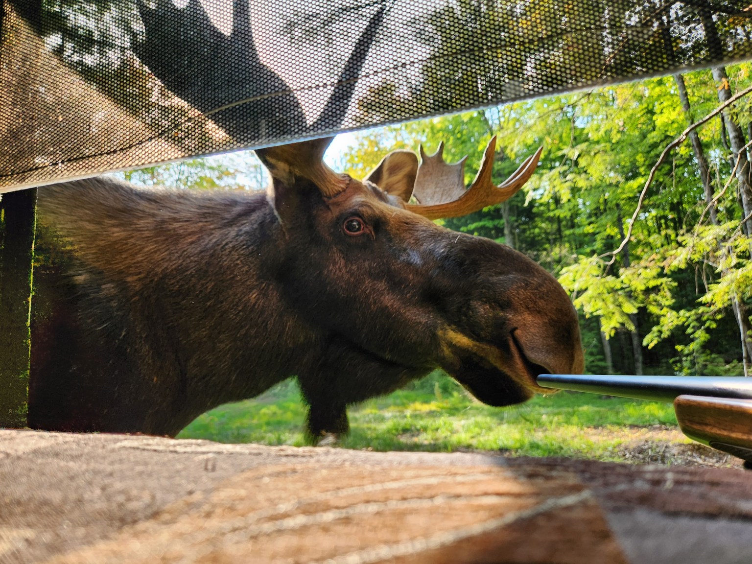 Big Game Hunting | Outdoor Life