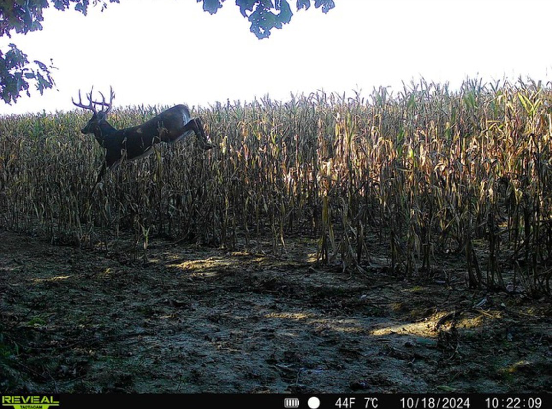 Veteran Arrows Giant Ohio Buck from the Ground After Getting to His ...