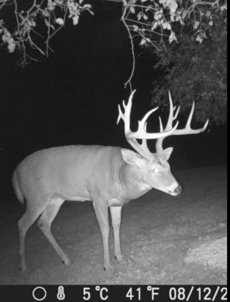 Veteran Arrows Giant Ohio Buck from the Ground After Getting to His ...