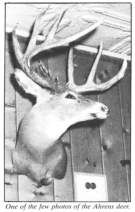 The Mystery of the Ahrens Buck, a World-Record Whitetail That Vanished ...