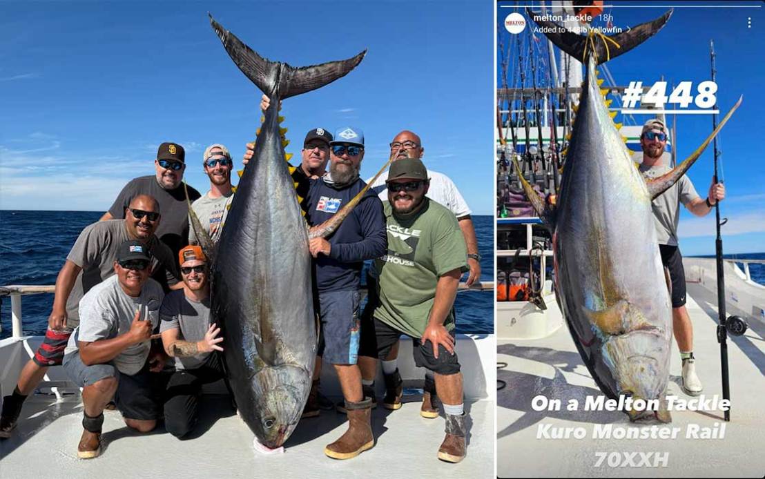 Angler Catches Likely World Record Yellowfin Tuna Off the Coast of ...