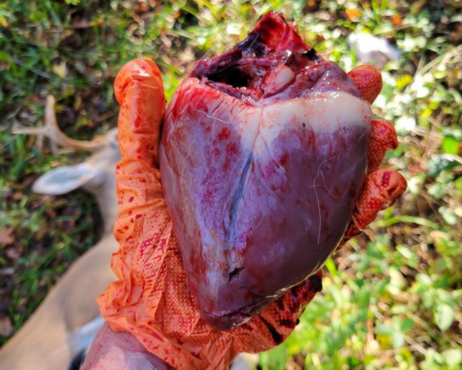 The Best Deer Heart Recipes | Outdoor Life
