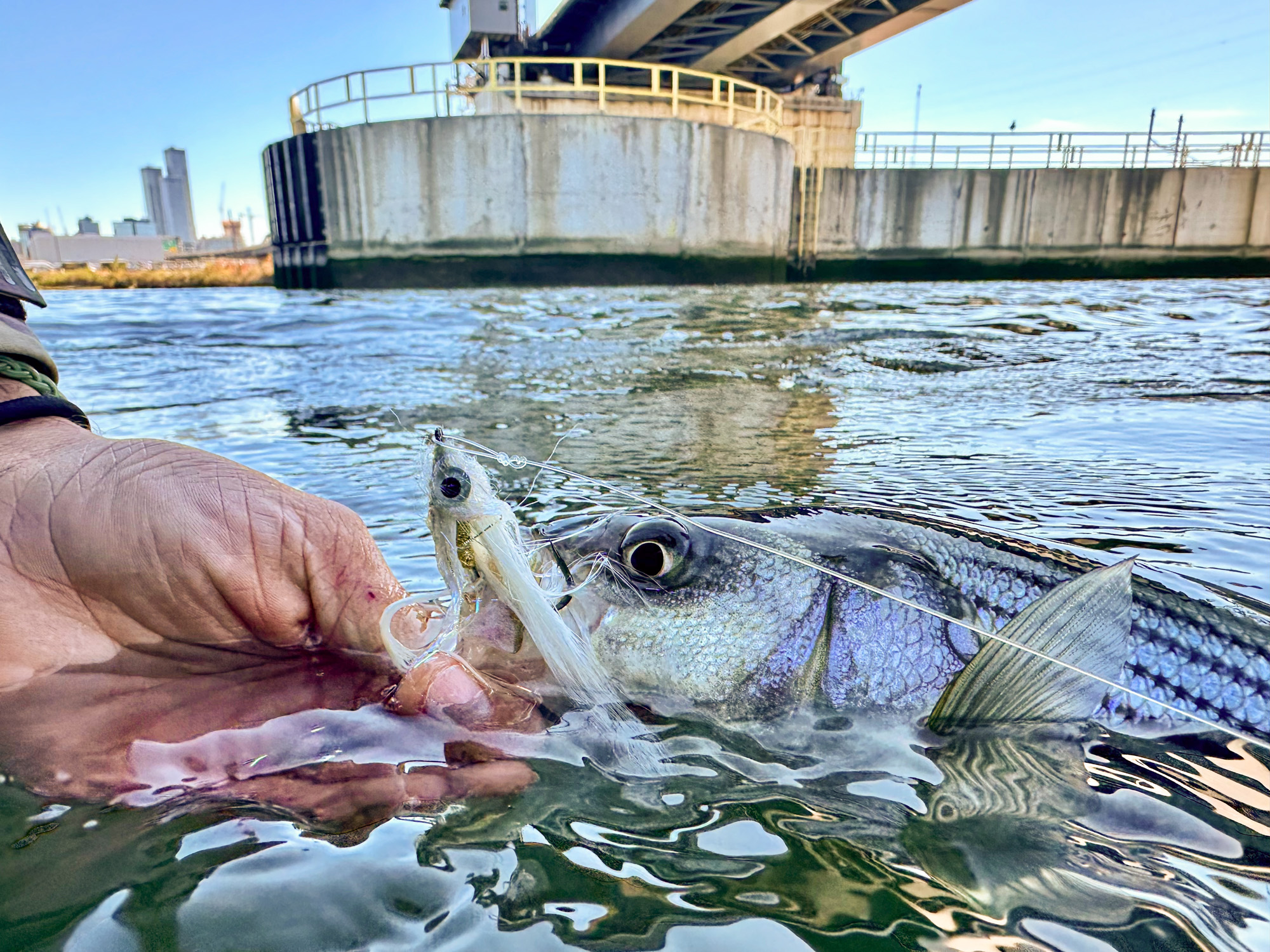 Here's Why You Should Fish Big Cities, Like These 4 | Outdoor Life
