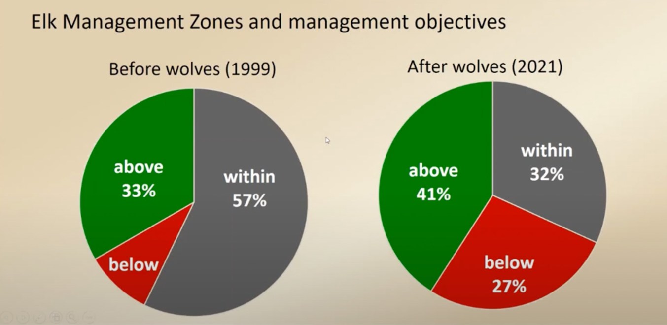 The Return of Wolves to Colorado Will Change Elk Hunting There. Here's ...