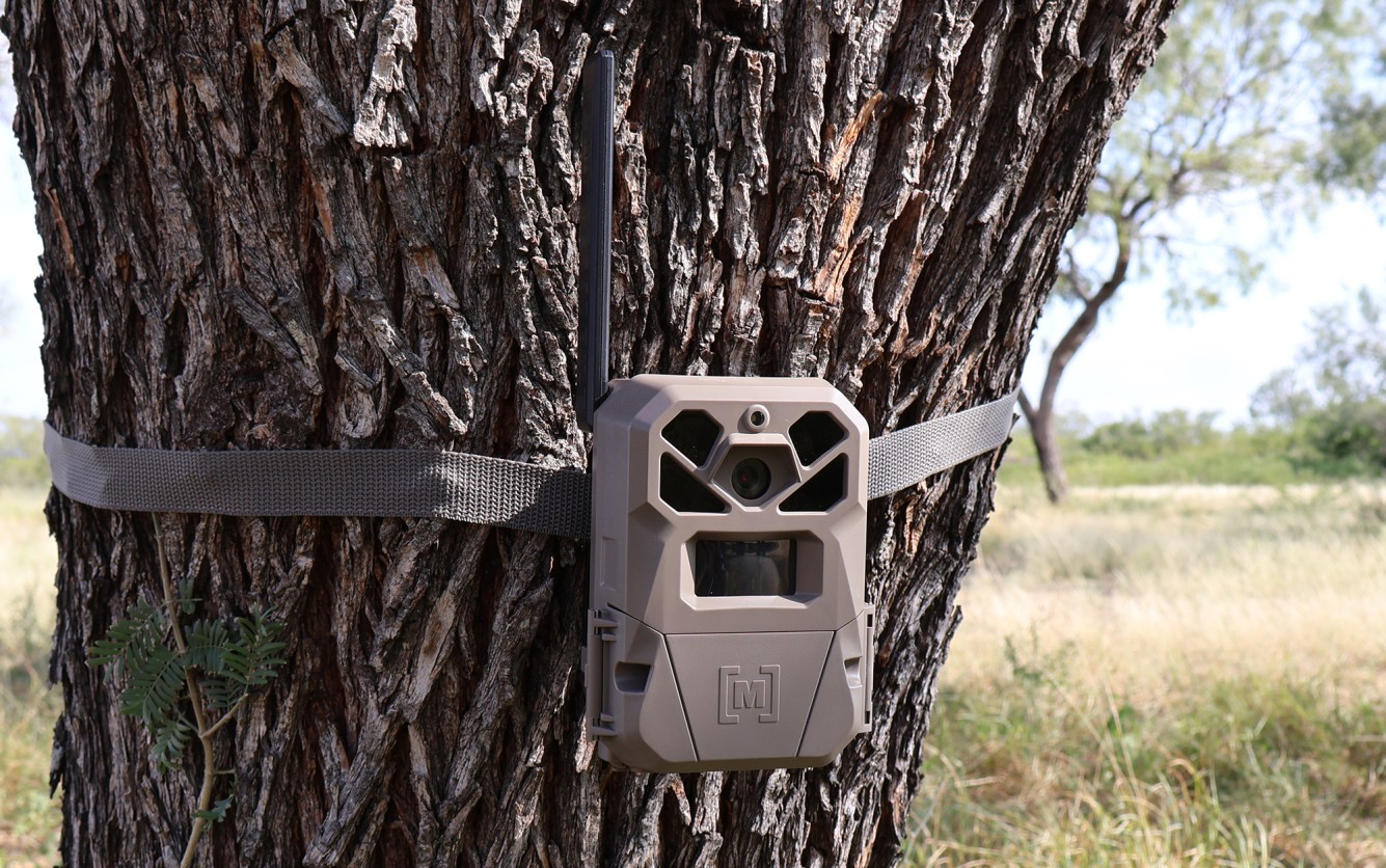 Black Friday Deals on Trail Cameras: Save on Tactacam, Moultrie ...