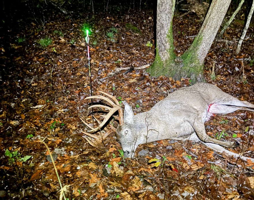 Watch: Wisconsin Bowhunter Arrows 14-Pointer on Public Ground He’s ...