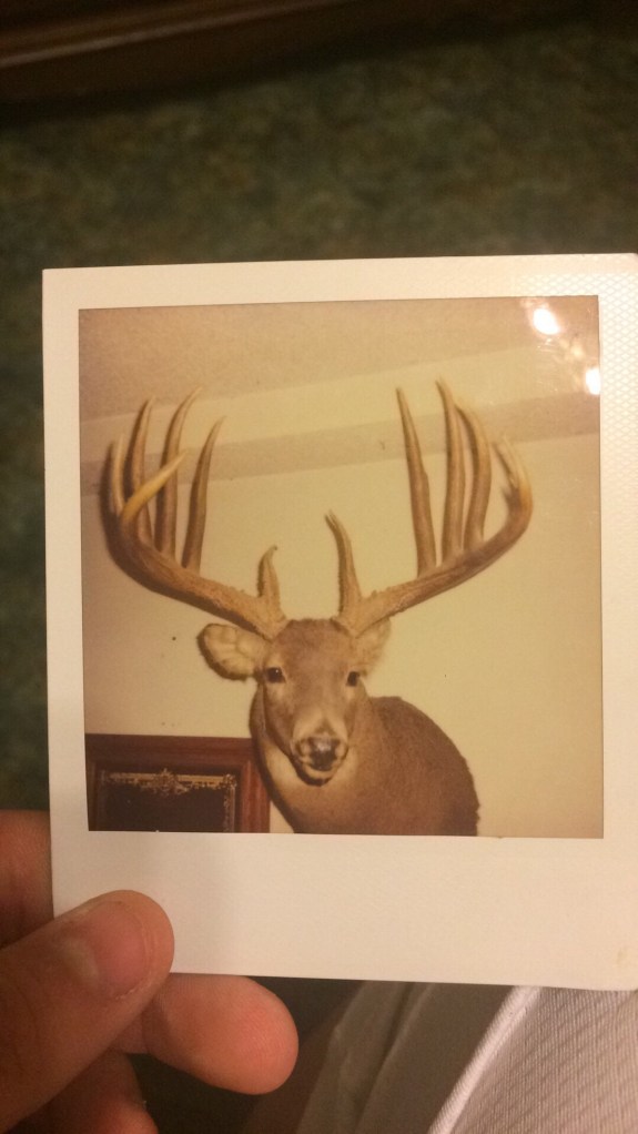 30 Years Later, Kansas Officially Certifies 200-Inch Archery Buck as ...