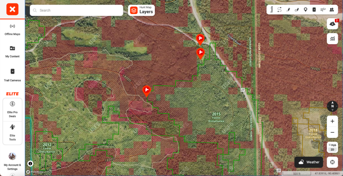 How to Find and Hunt Grouse in Successional Habitat | Outdoor Life