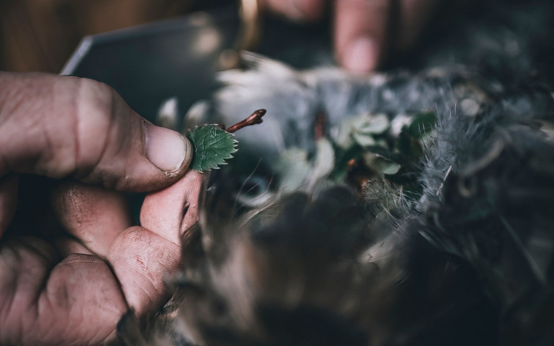 How to Find and Hunt Grouse in Successional Habitat | Outdoor Life