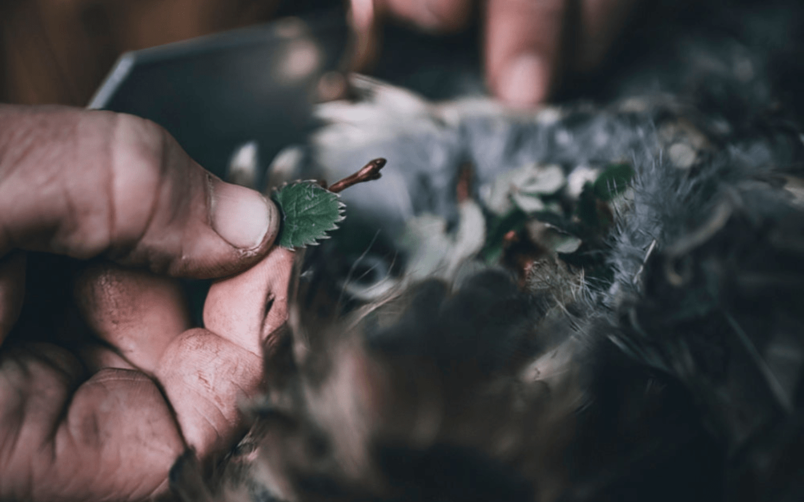 How to Find and Hunt Grouse in Successional Habitat | Outdoor Life