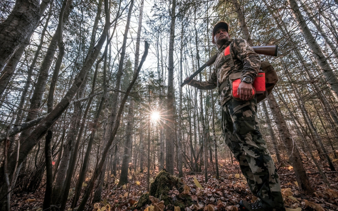 How to Find and Hunt Grouse in Successional Habitat | Outdoor Life