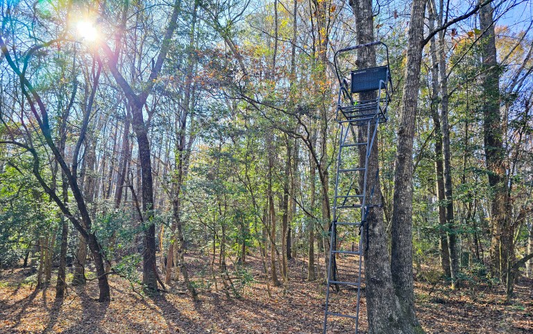 Best Turkey Fan Mount Kits of 2026 | Outdoor Life