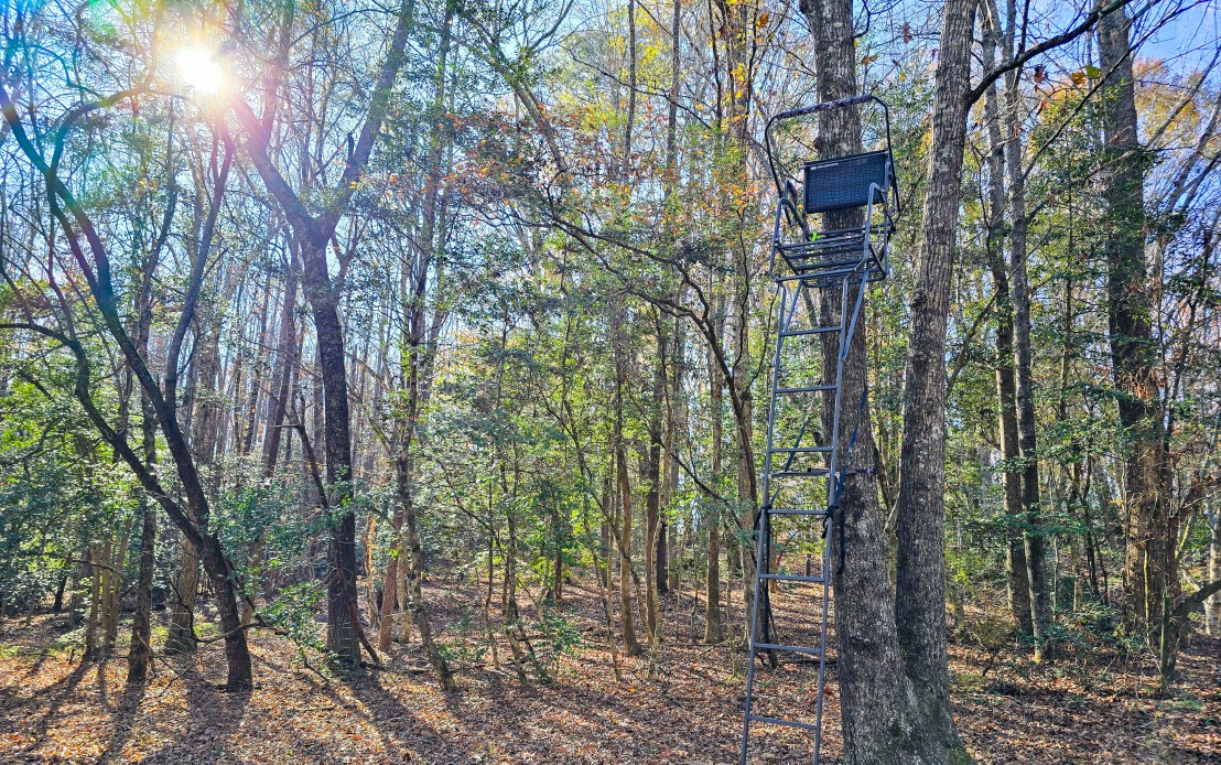 The Best Ladder Stands on a Budget | Outdoor Life