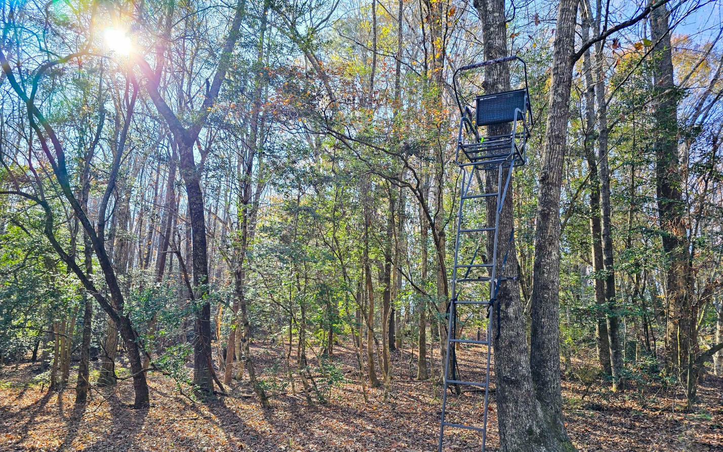 The Best Ladder Stands on a Budget | Outdoor Life