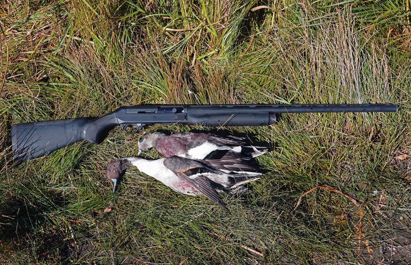 Breda B3.5SM Shotgun Review | Outdoor Life