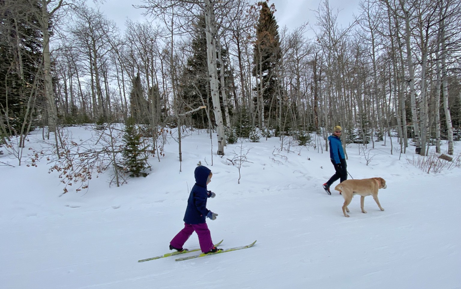 How (And What You Need) to Cross Country Ski | Outdoor Life