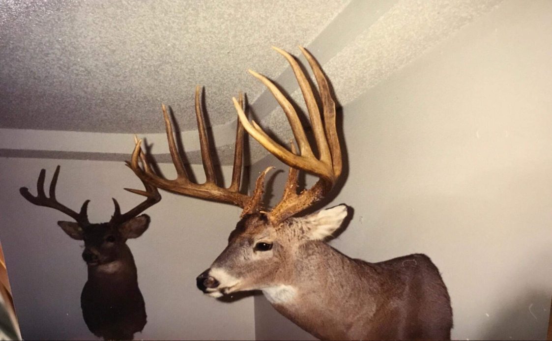 30 Years Later, Kansas Officially Certifies 200-Inch Archery Buck as ...