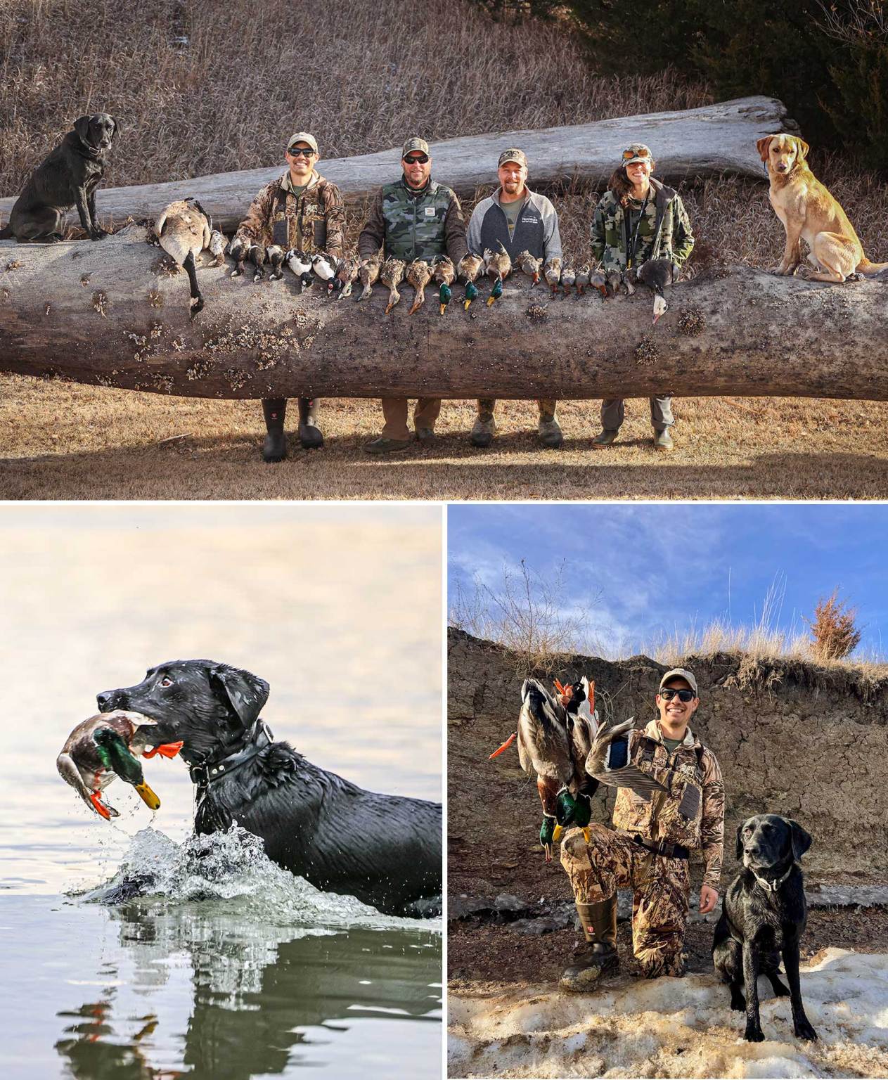 The Best Motion Duck Decoys, Field Tested and Reviewed | Outdoor Life