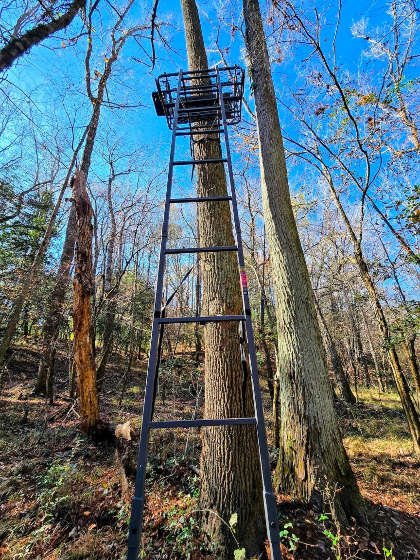 The Best Ladder Stands on a Budget | Outdoor Life