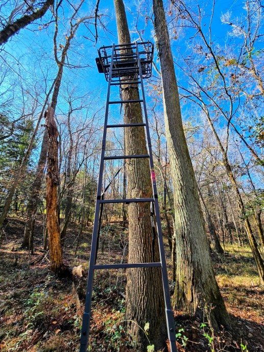 The Best Ladder Stands on a Budget | Outdoor Life
