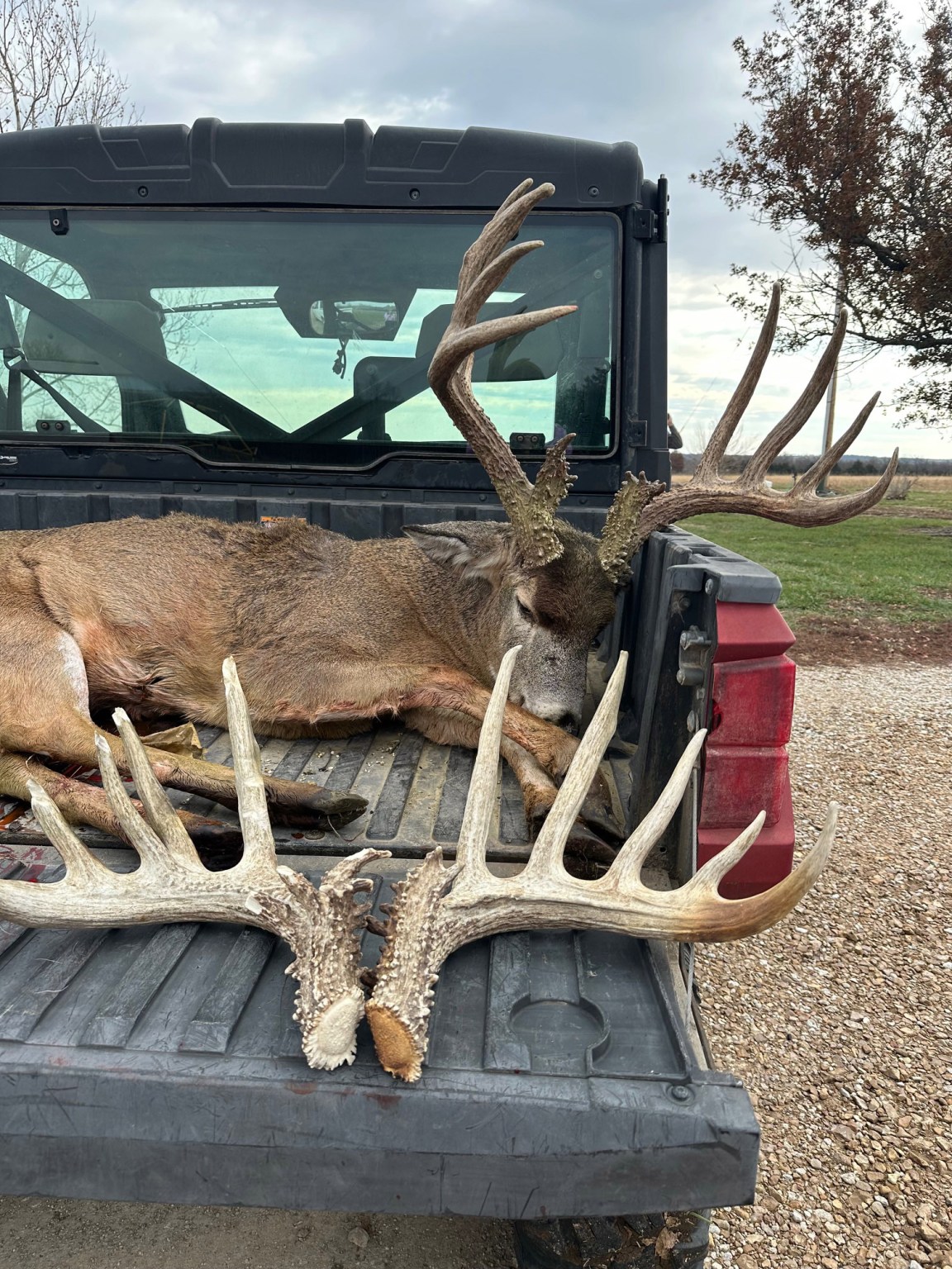 Kansas Farmer Tags What Could Be One of the Top 5 Archery Bucks Ever ...