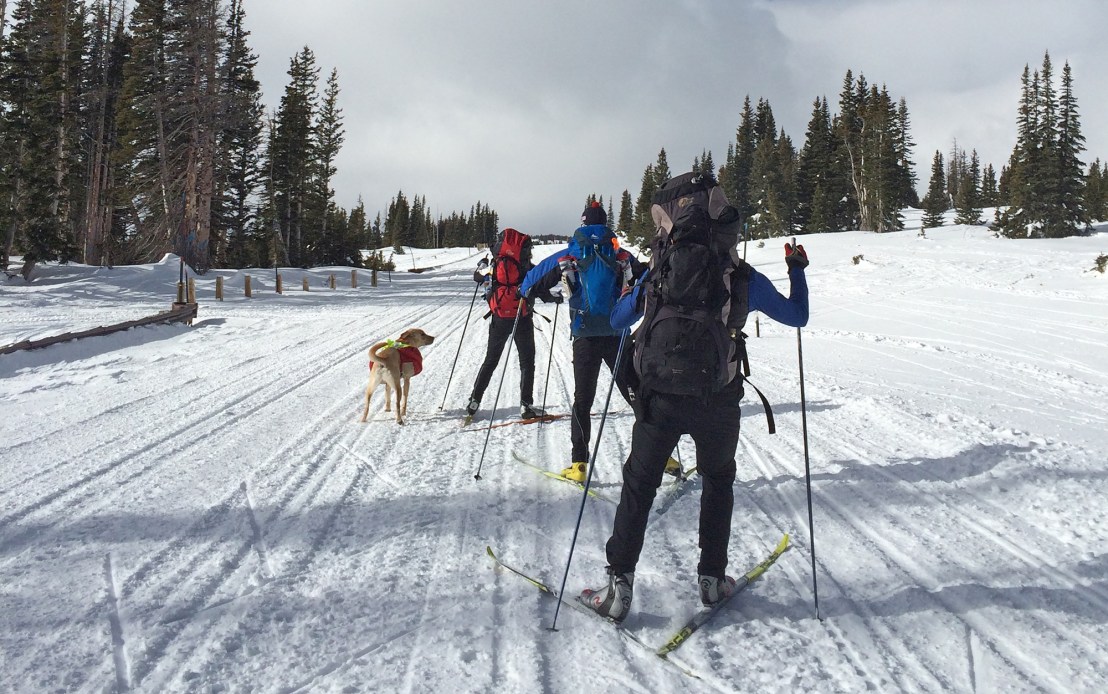 How (And What You Need) to Cross Country Ski | Outdoor Life