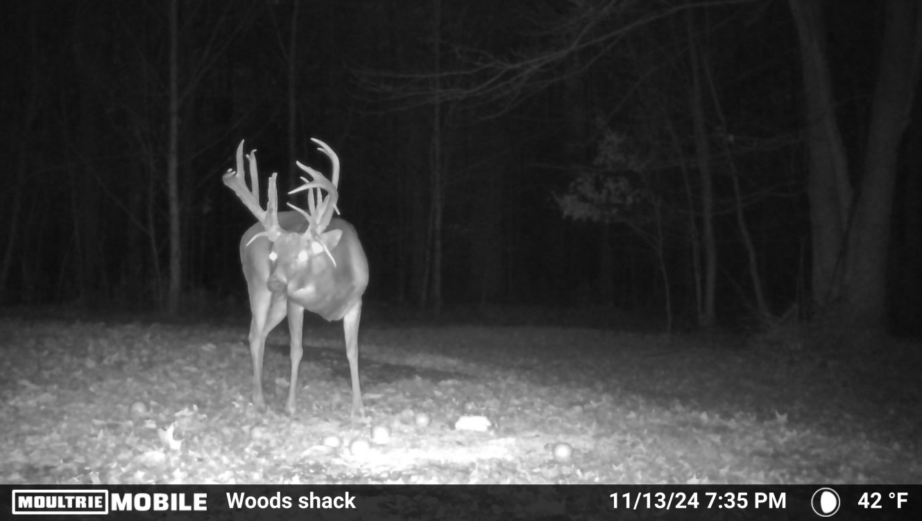 Rookie Crossbow Hunter’s First Buck Is a 200-Class Nontypical Monster ...