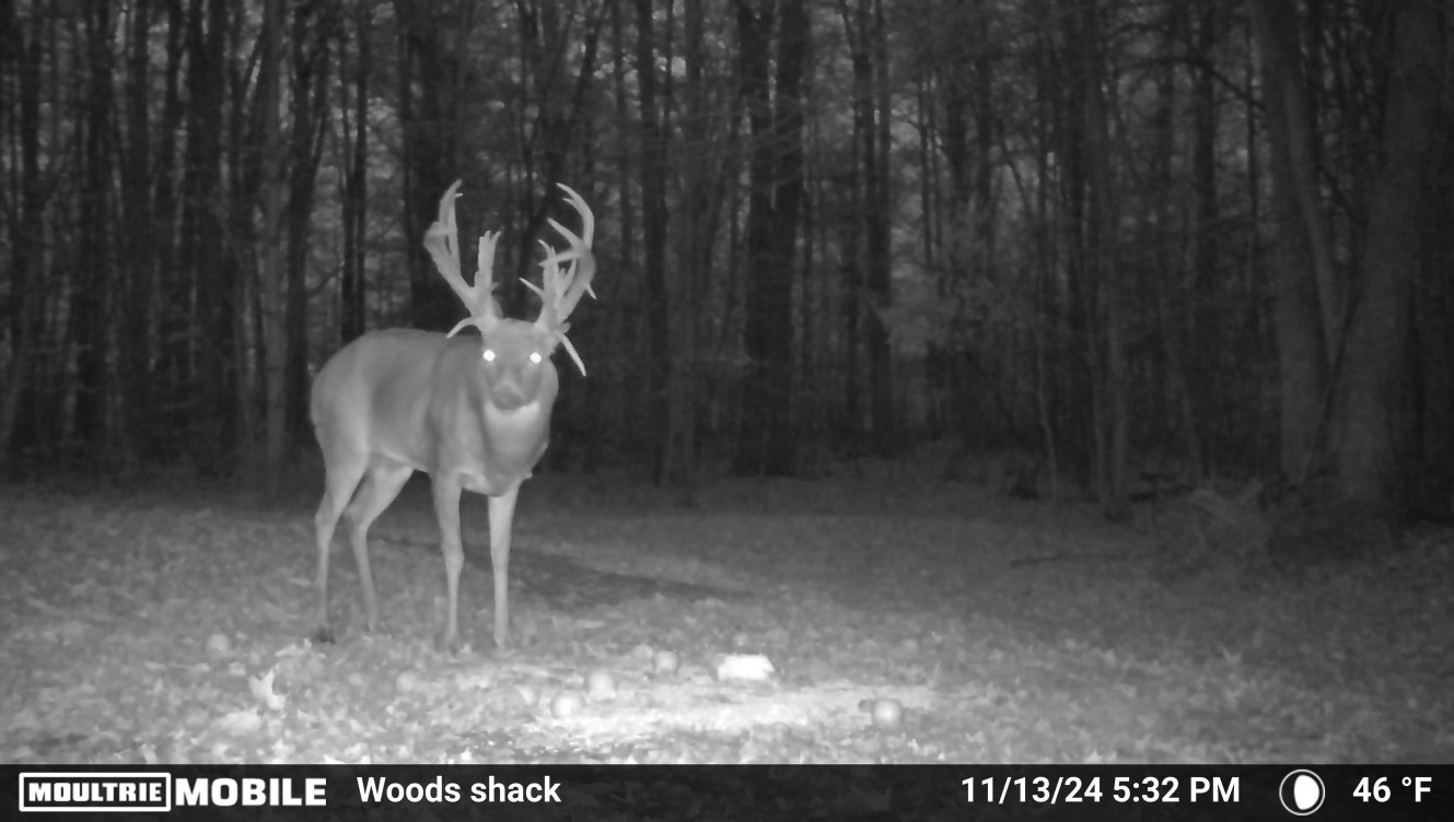 Rookie Crossbow Hunter’s First Buck Is a 200-Class Nontypical Monster ...