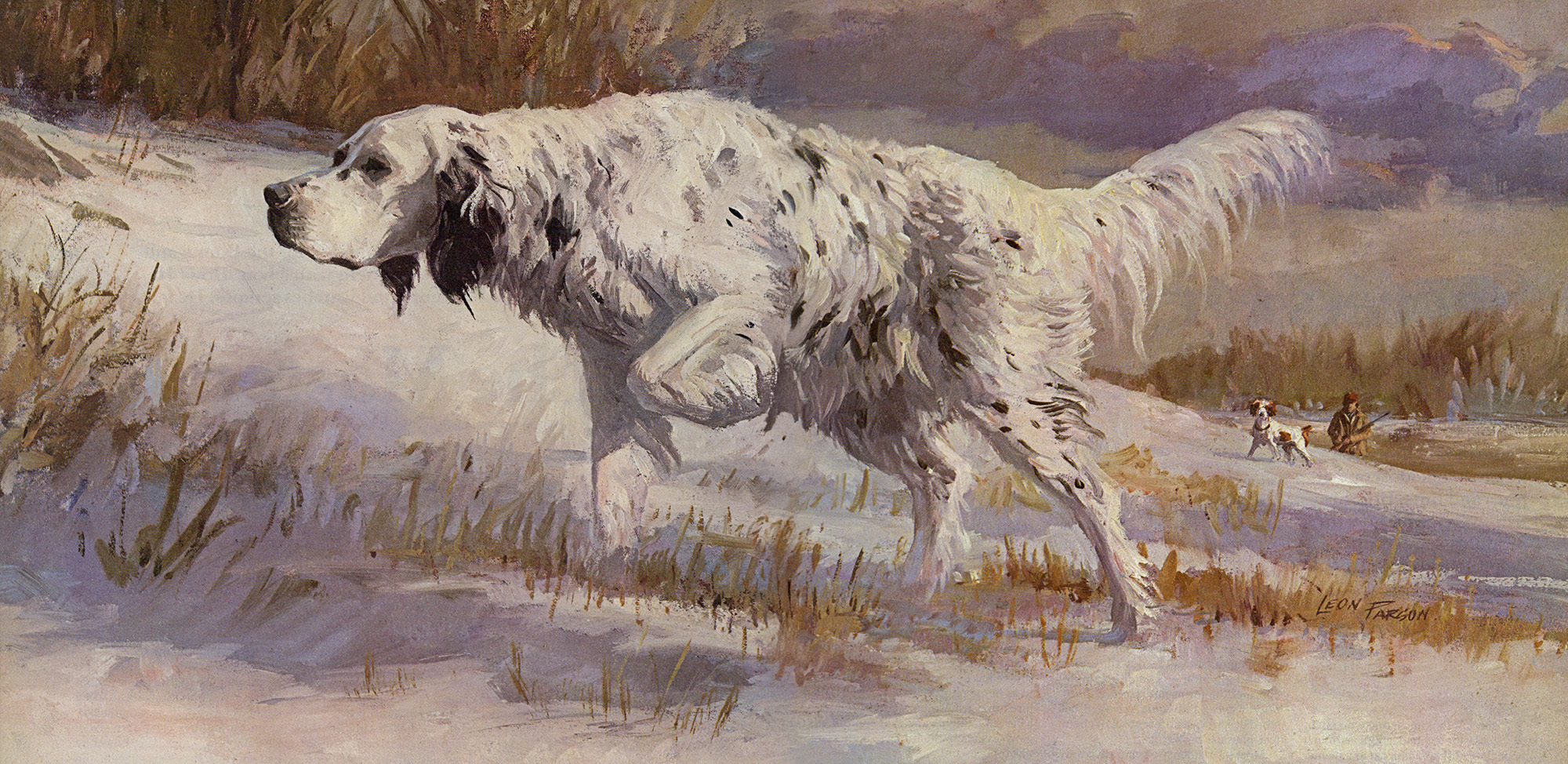English Setter Duck Hunting