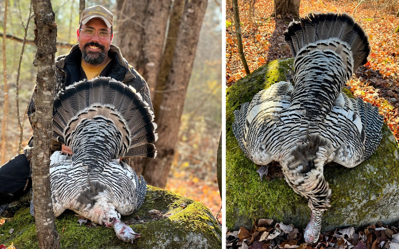 8 Ways Whitetails Communicate with Their Tails, and What Each Means for ...