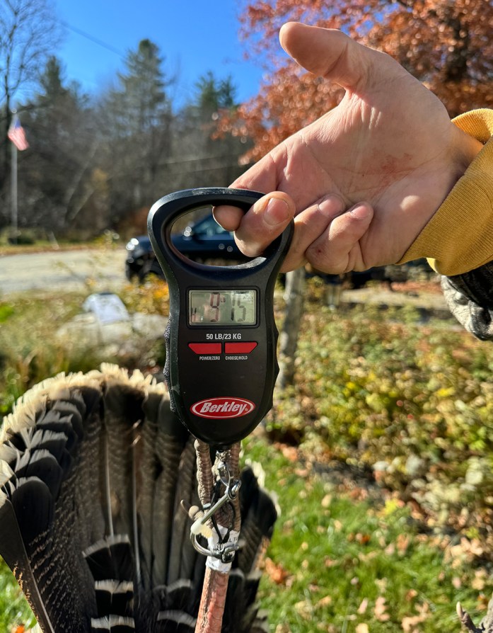 Vermont Hunter Ends 4-Year Chase for Rare Smoke-Phase Turkey | Outdoor Life